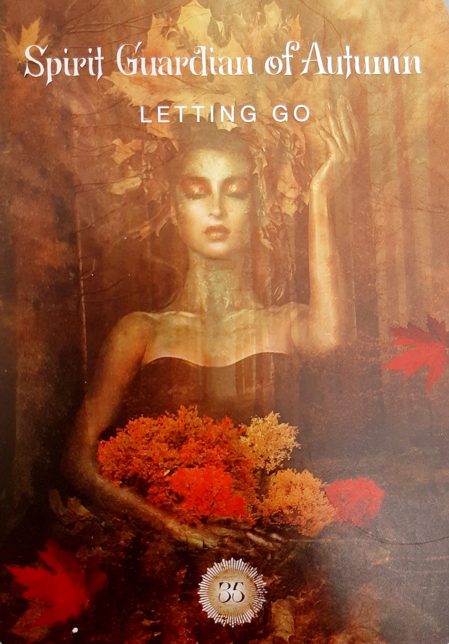 11/14/22 Daily Oracle Card - Spirit Guardian of Autumn: Letting Go ...
