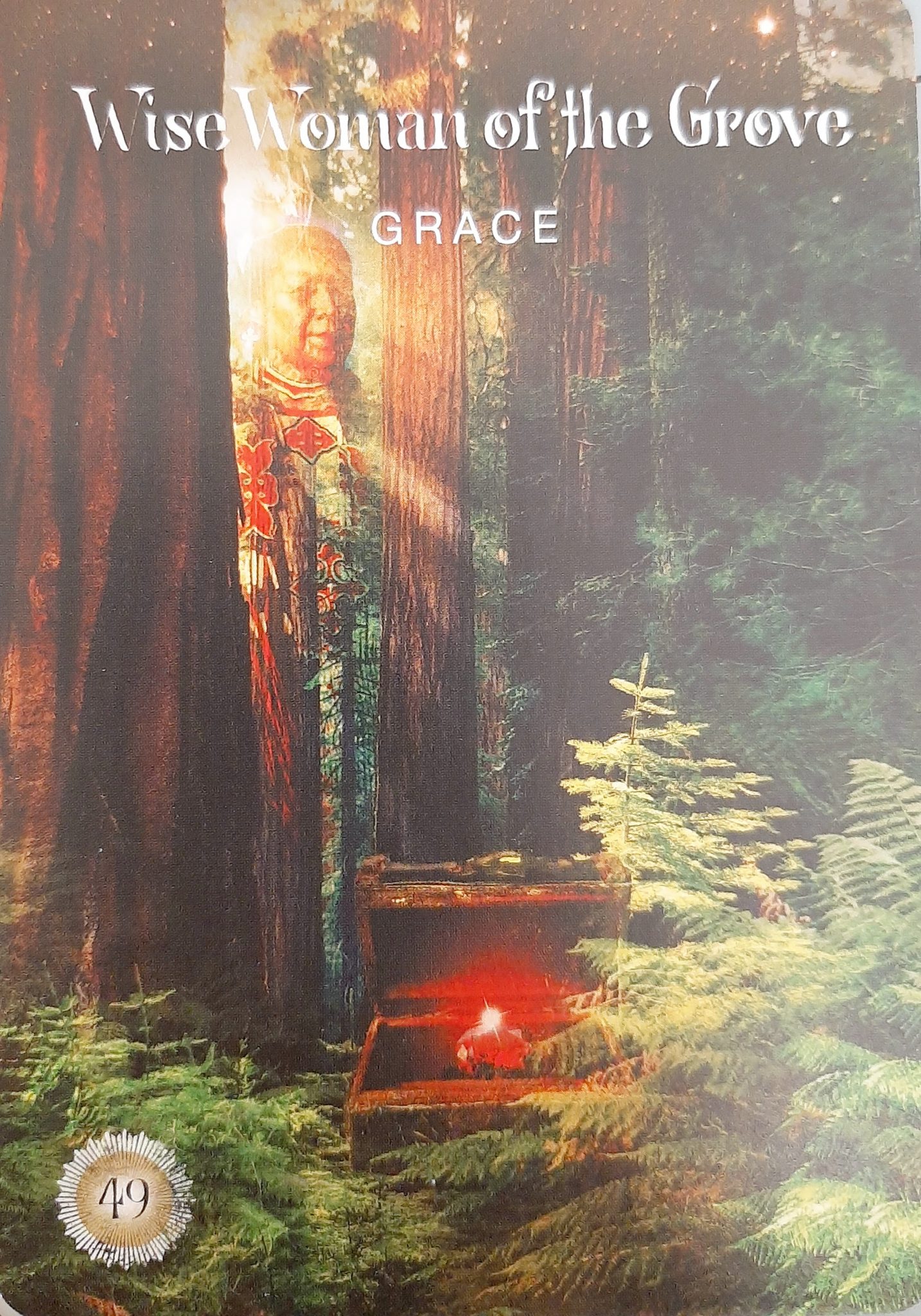 11/17/22 Daily Oracle Card - Wise Woman of the Grove - Grace ...